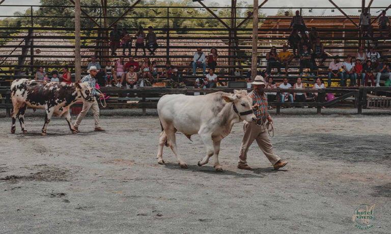 Parque Panaca, una Granja Típica Interactiva – Finca para Familias en ...